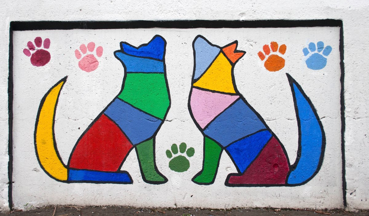 Animals Two By Two – Extramural Activity