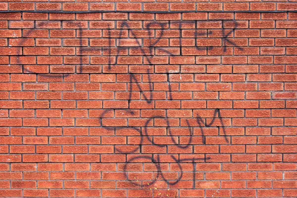 Charter NI Scum Out – Extramural Activity
