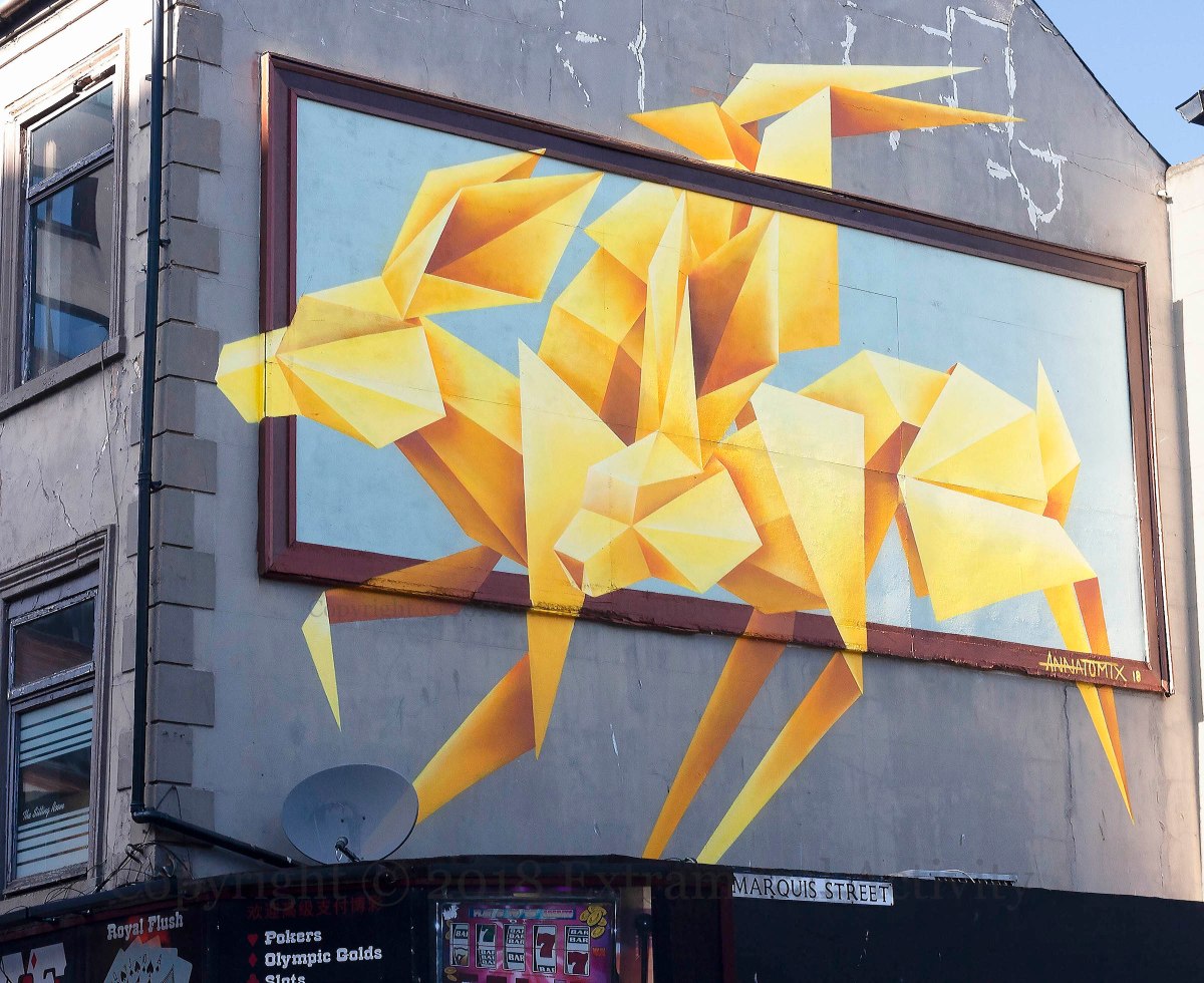 The Golden Hares Of Rathlin Island – Extramural Activity