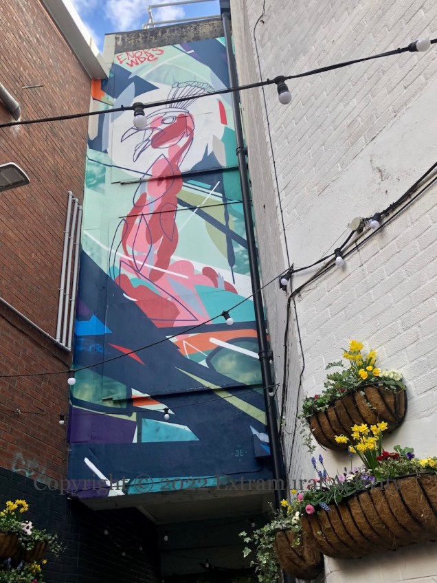 Belfast Entries – Extramural Activity