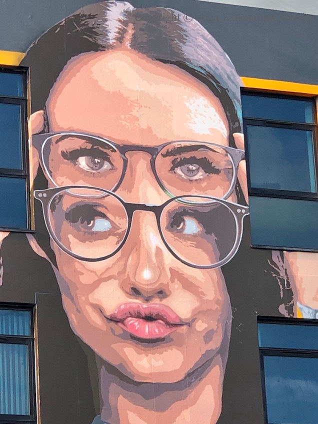 Double Vision – Extramural Activity